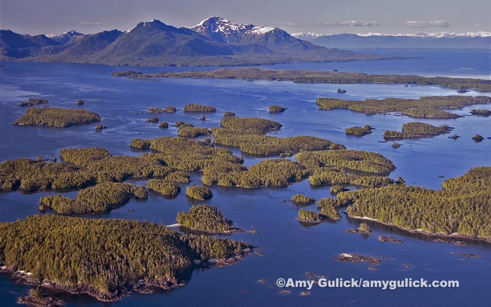 International League of Conservation Photographers ( » 1Frame4Nature ...