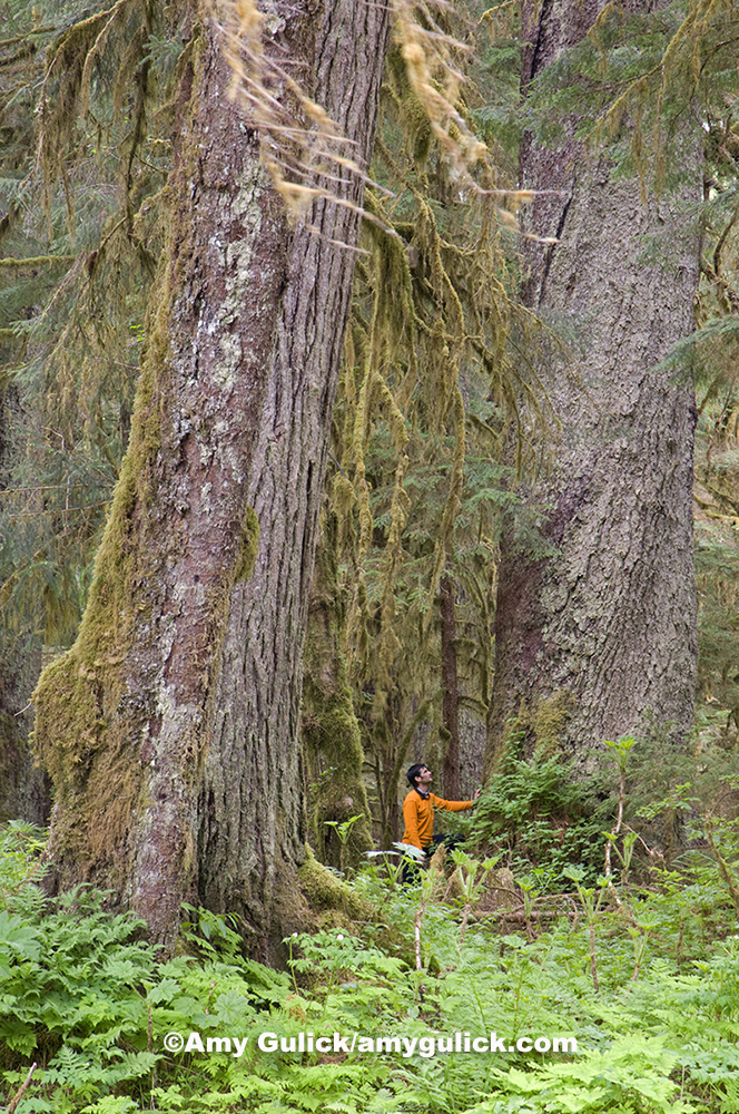 International League of Conservation Photographers ( » 1Frame4Nature ...