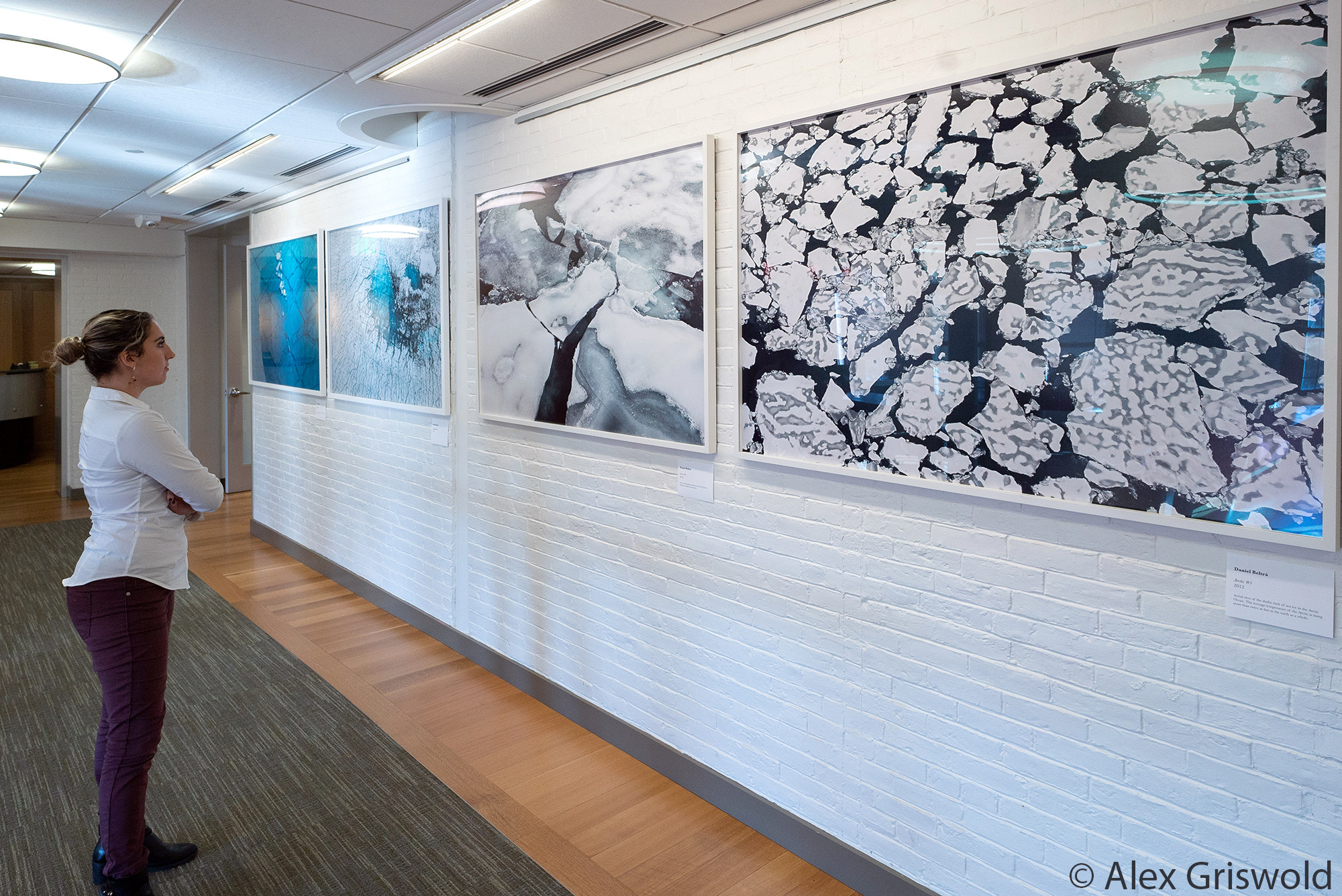 International League of Conservation Photographers ( » What are our ...