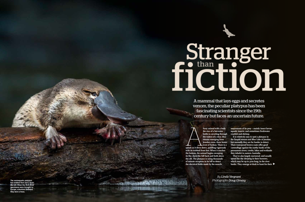 International League of Conservation Photographers ( » What are our ...